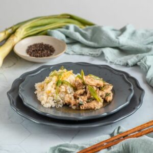 Pollo Mongoliano con Arroz Chaufa, Gourmet Individual, Marca Tremus ...